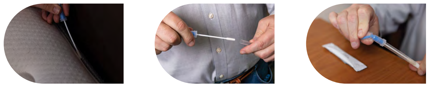 What is TruDetx™ Bed Bug Rapid Test? - Pestify